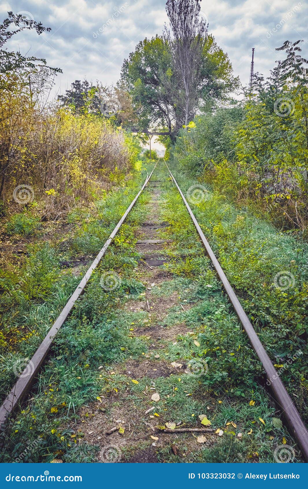 Old Overgrown Railway in Autumn Stock Photo - Image of foliage ...