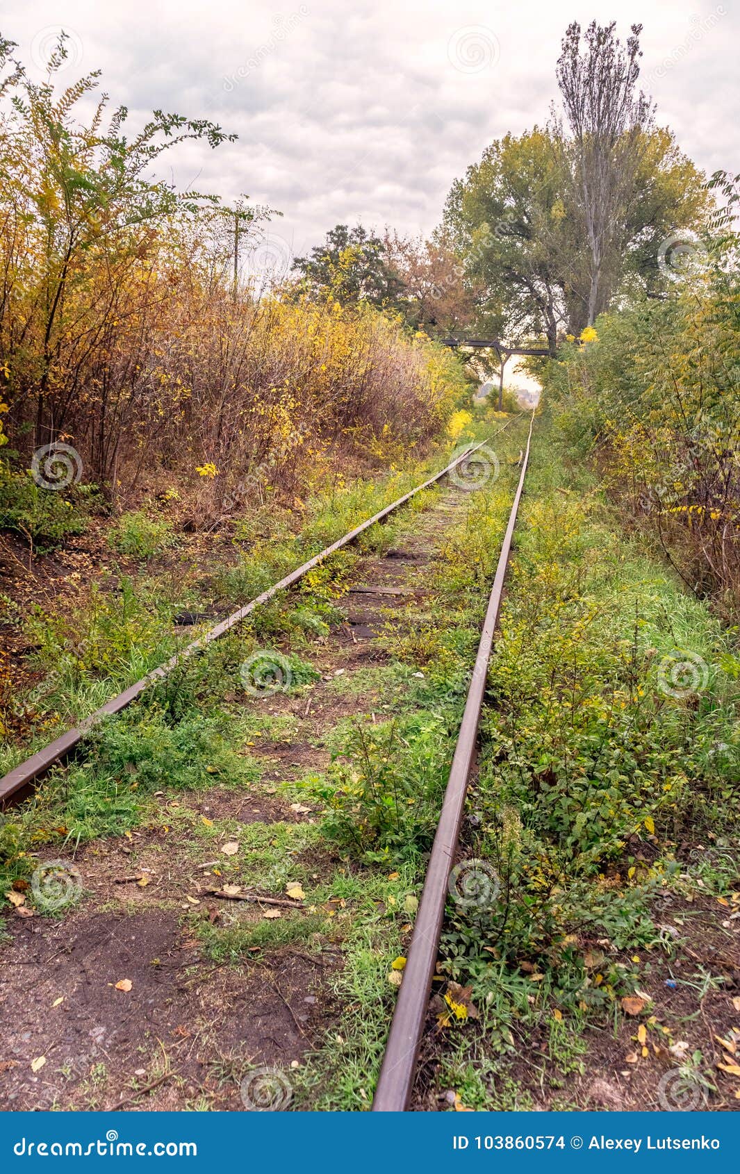 Old Overgrown Railway in Autumn Stock Photo - Image of area, iron ...
