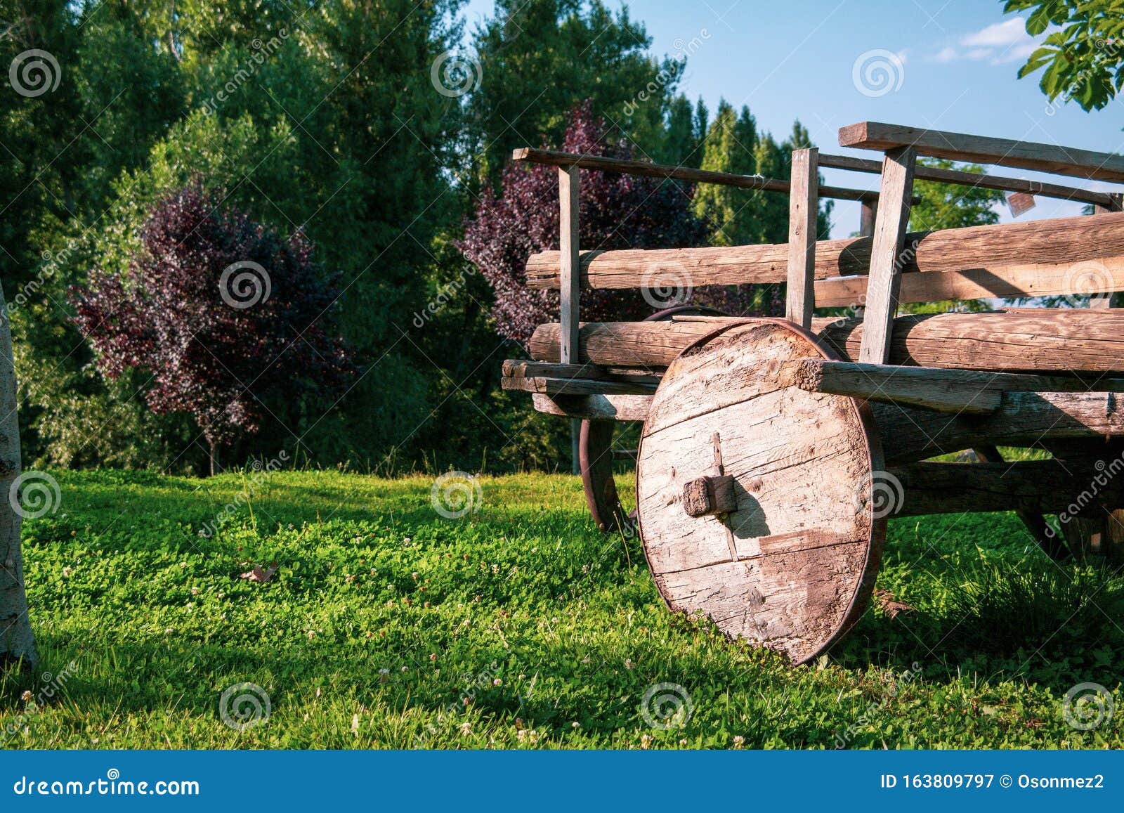Old ox cart on farmland stock image. Image of animals - 163809797