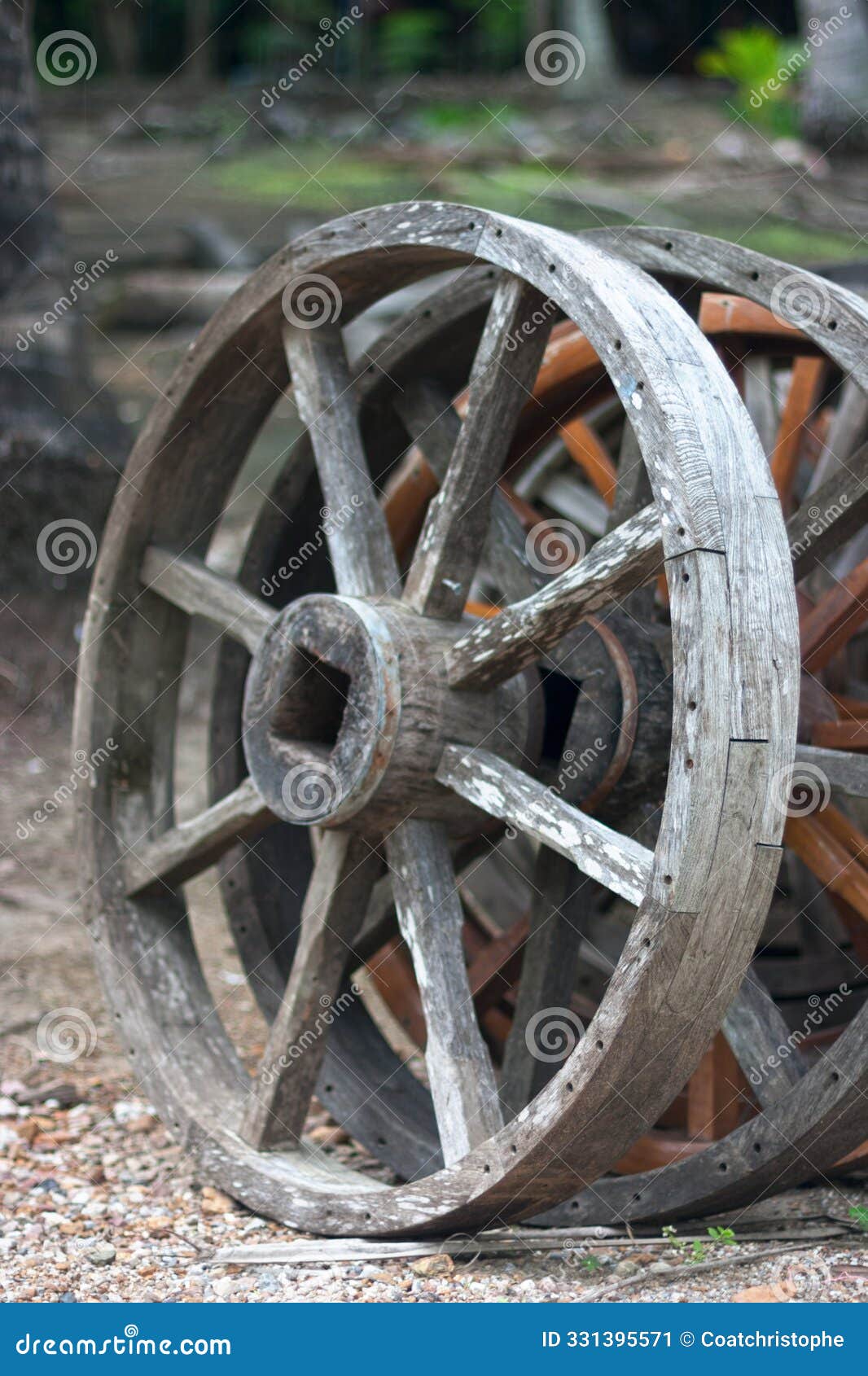 Old ox-cart wooden wheels stock image. Image of outdoors - 331395571