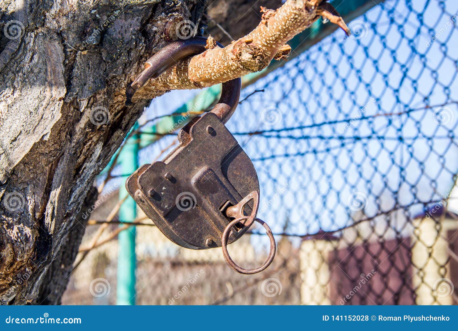 Old Padlock with Key Hanging on the Tree Stock Photo - Image of iron ...