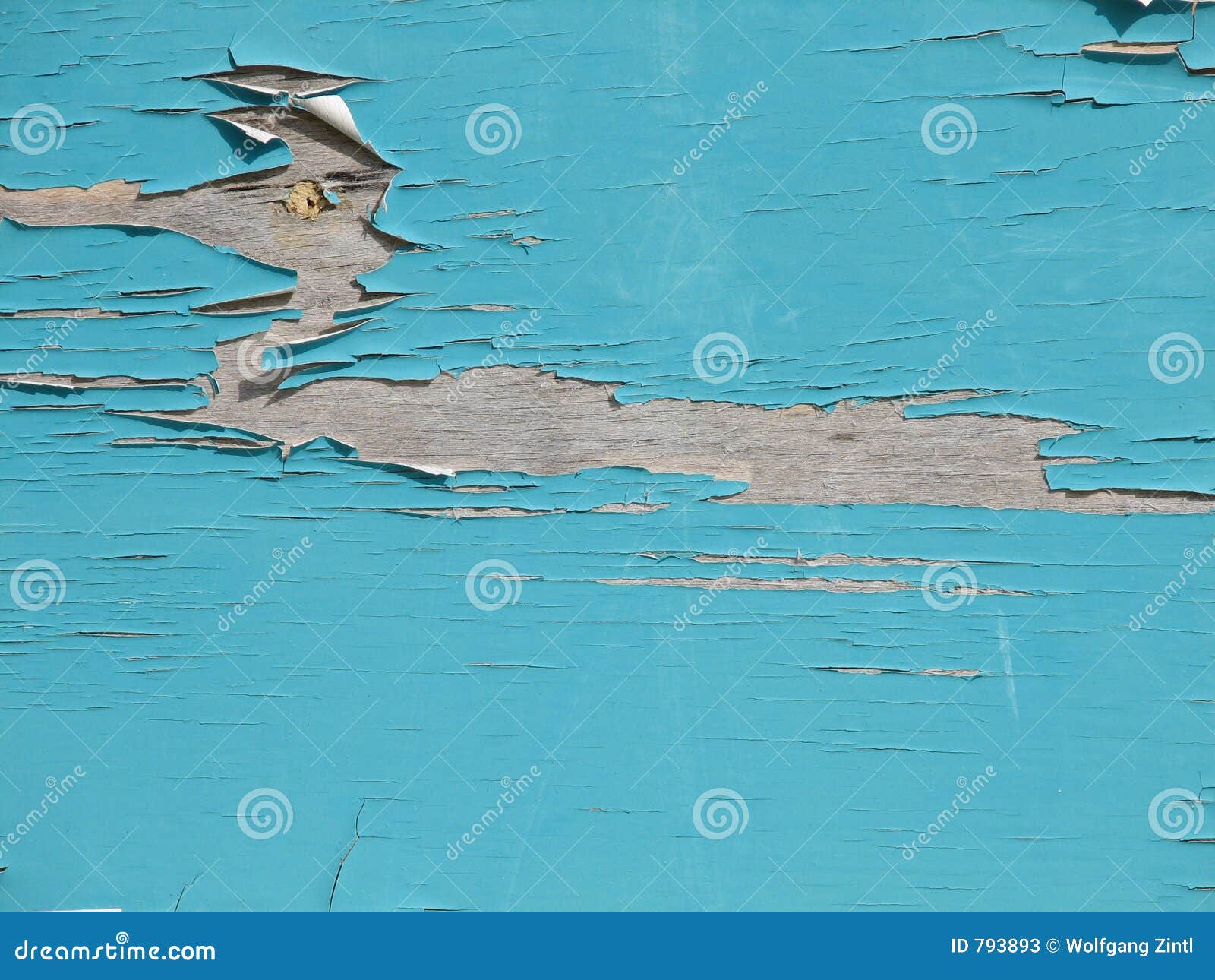 Old paint stock image. Image of bird, outdoor, outside - 793893