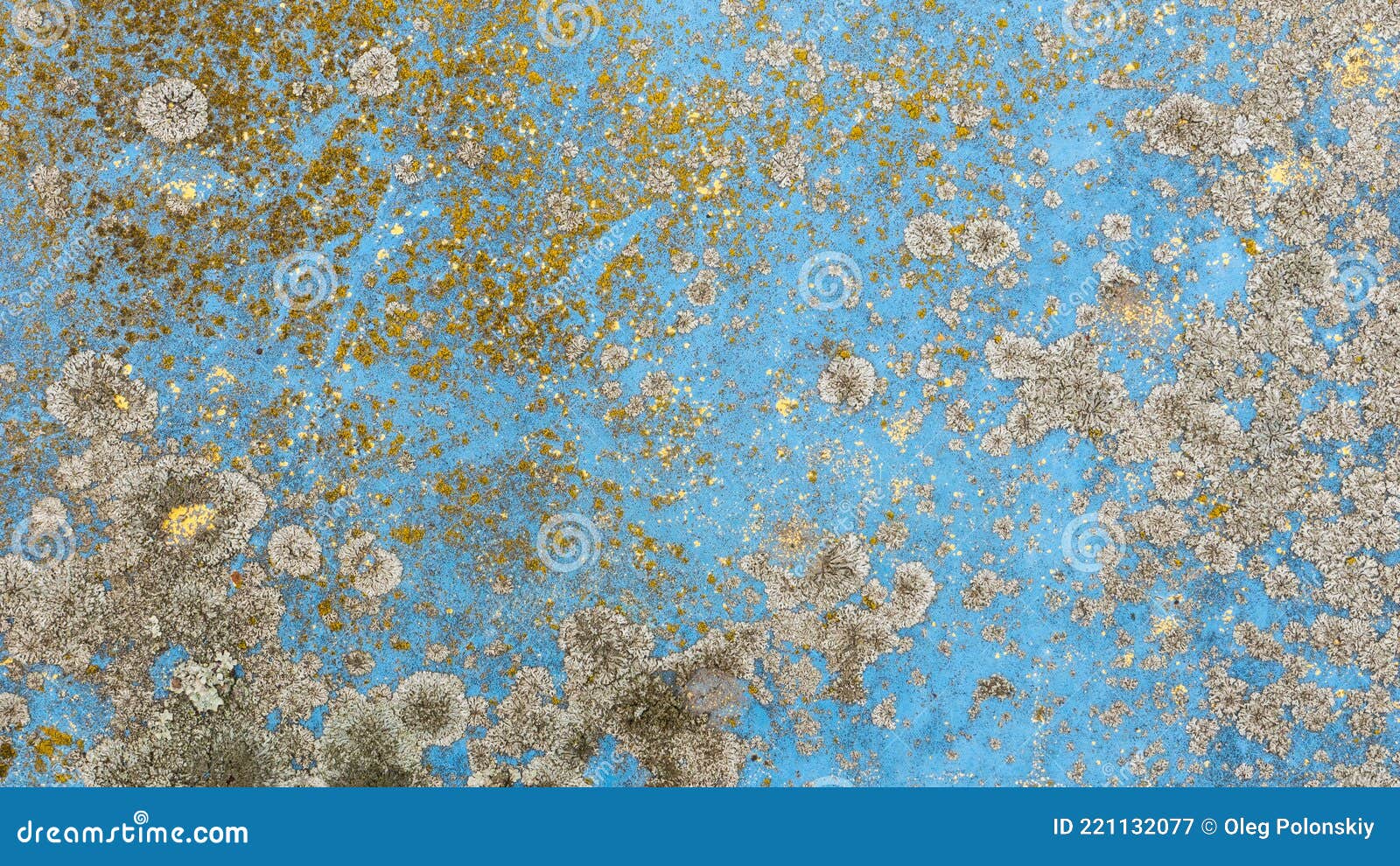 Old Paint Texture Covered with Gray Mold. Stock Image - Image of ...