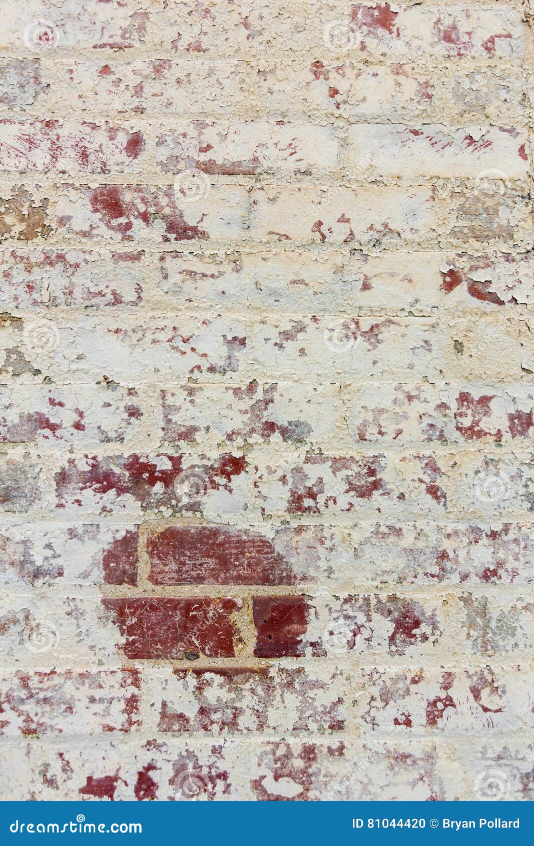 Old Painted Brick stock photo. Image of texture, wall - 81044420