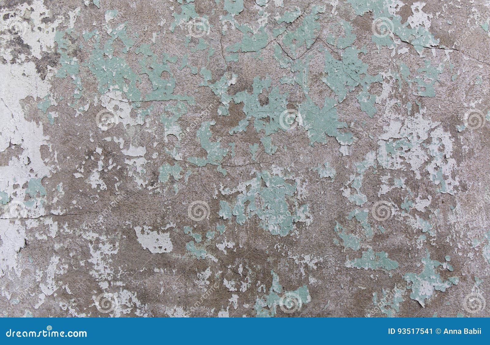 The Damage On The Surface Of Carrot Was Covered With Putrid Fungal ...