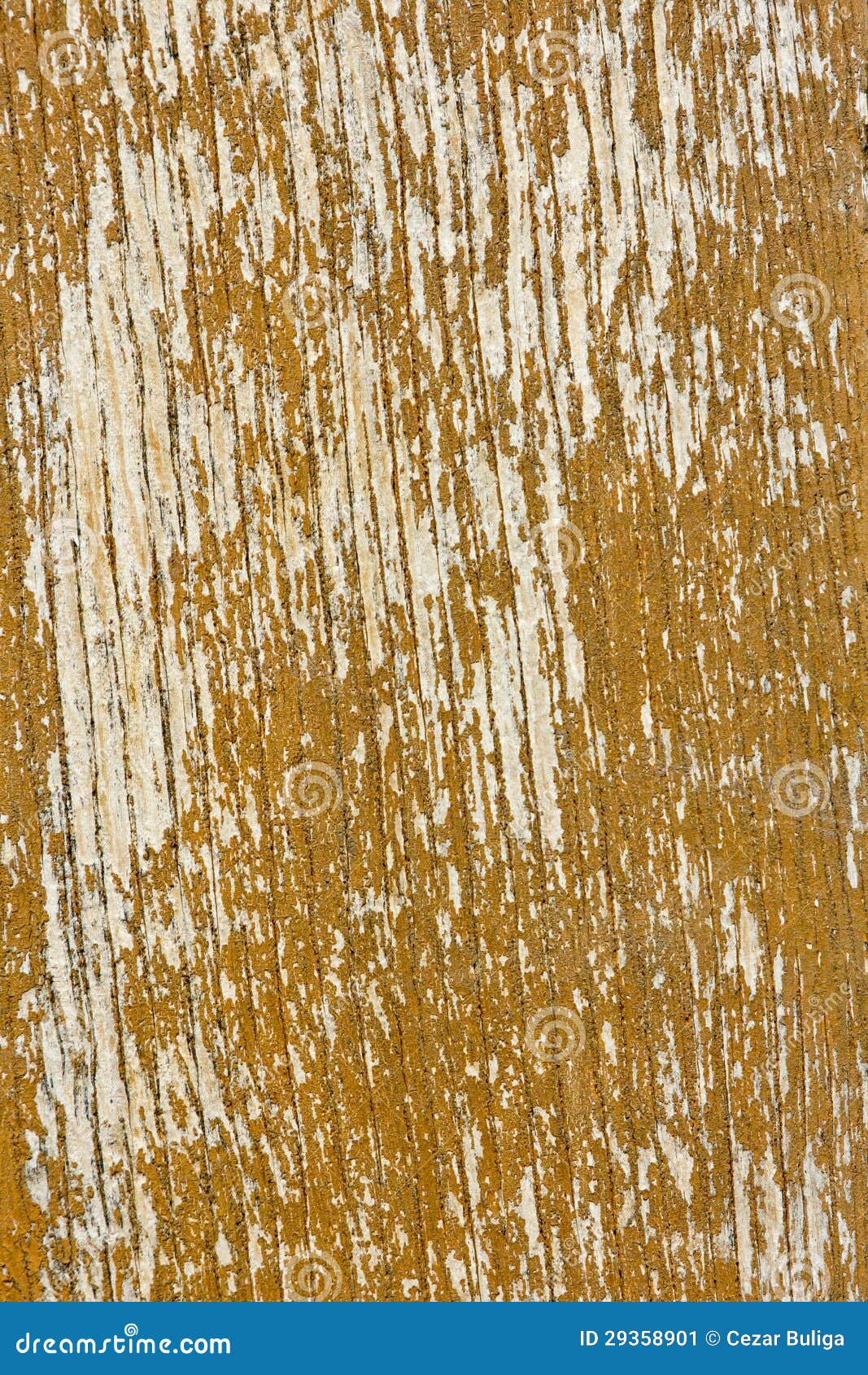 Old painted wood texture stock image. Image of structure - 29358901