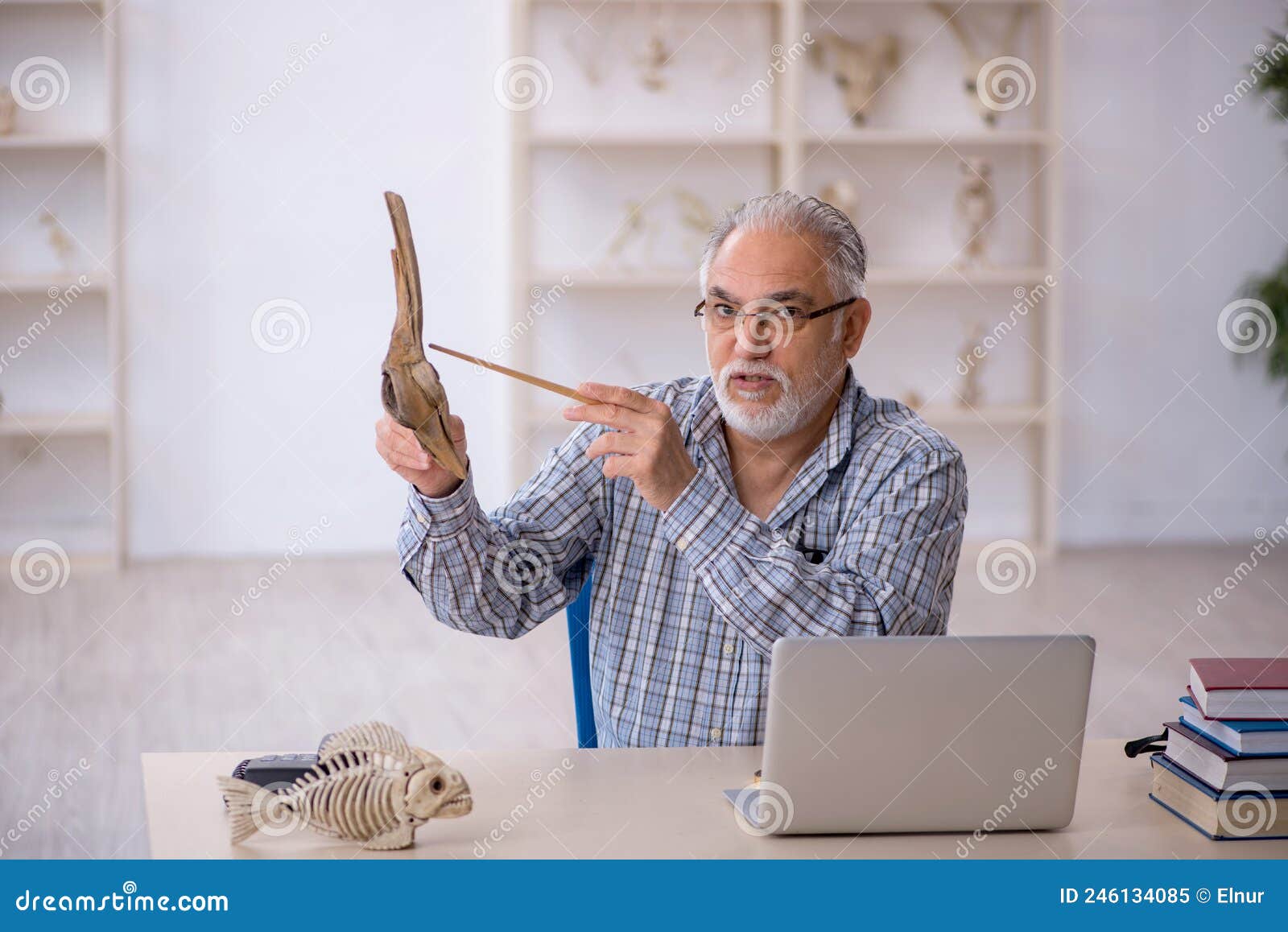 Old Male Paleontologist Examining Ancient Animals at Lab Stock Image ...