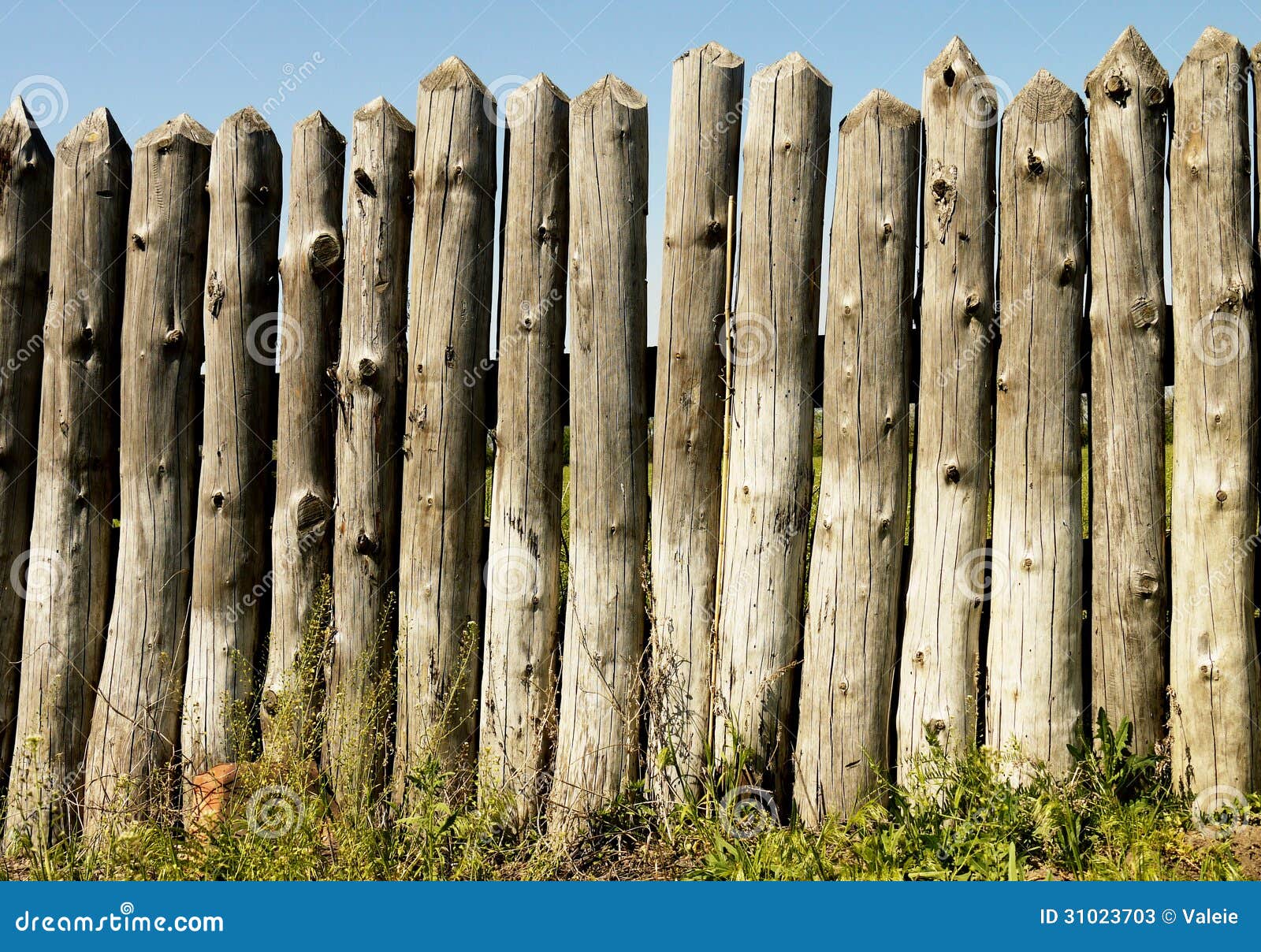 Old Paling of Sharpened Logs Stock Image - Image of wooden, strong ...