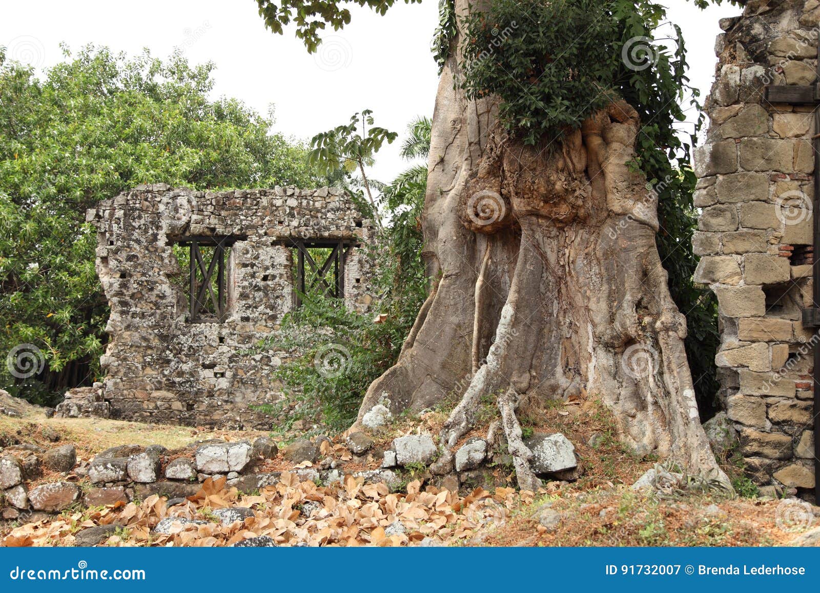 Old Panama ruins stock image. Image of panama, city, ancient - 91732007