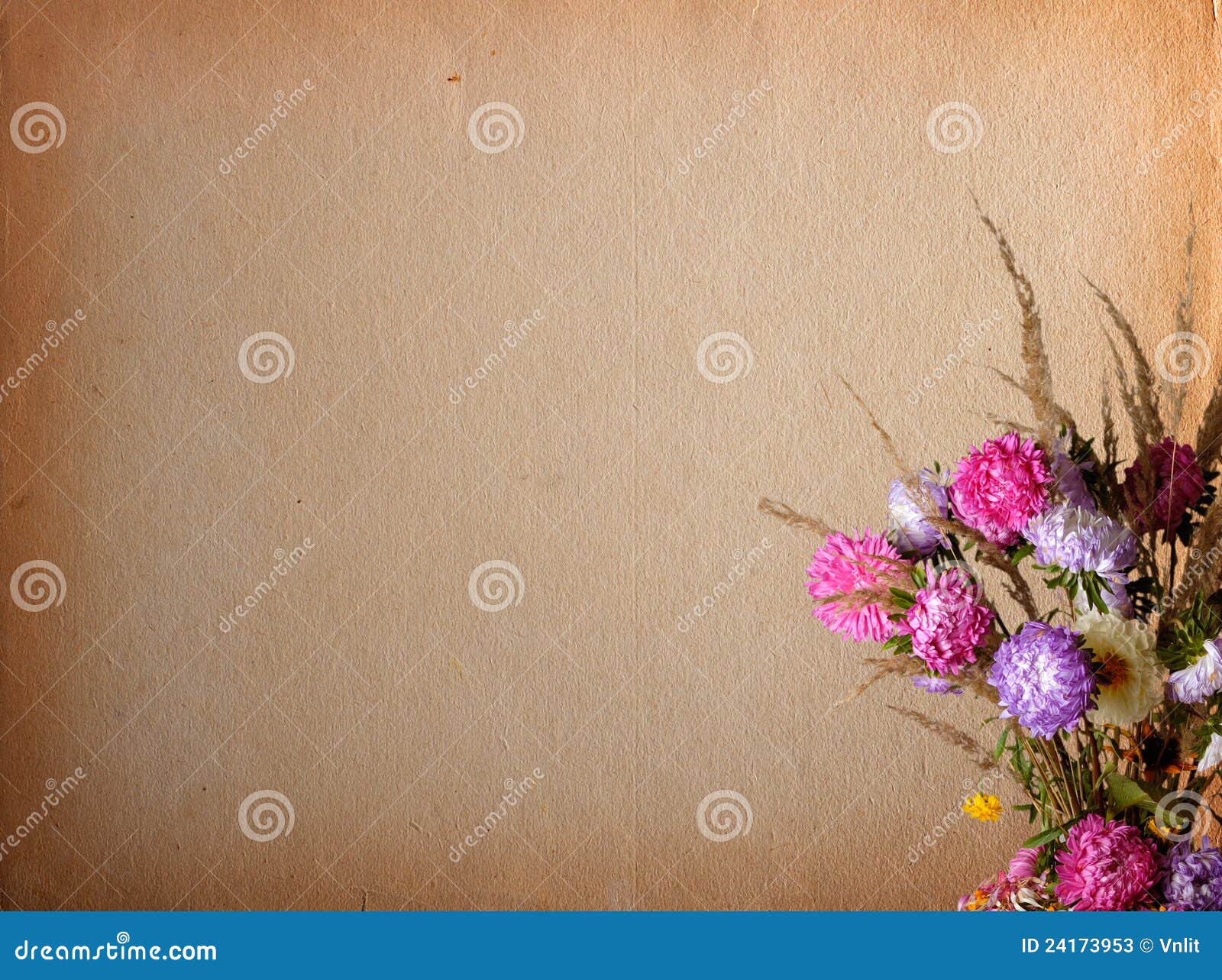 Old paper stock image. Image of copyspace, beautiful - 24173953