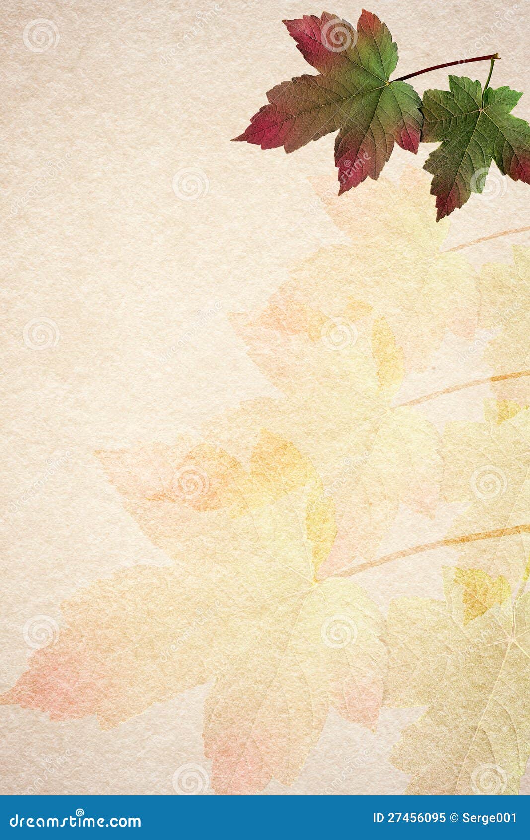 Old Paper Autumn Leaves Background Stock Image - Image of autumn ...
