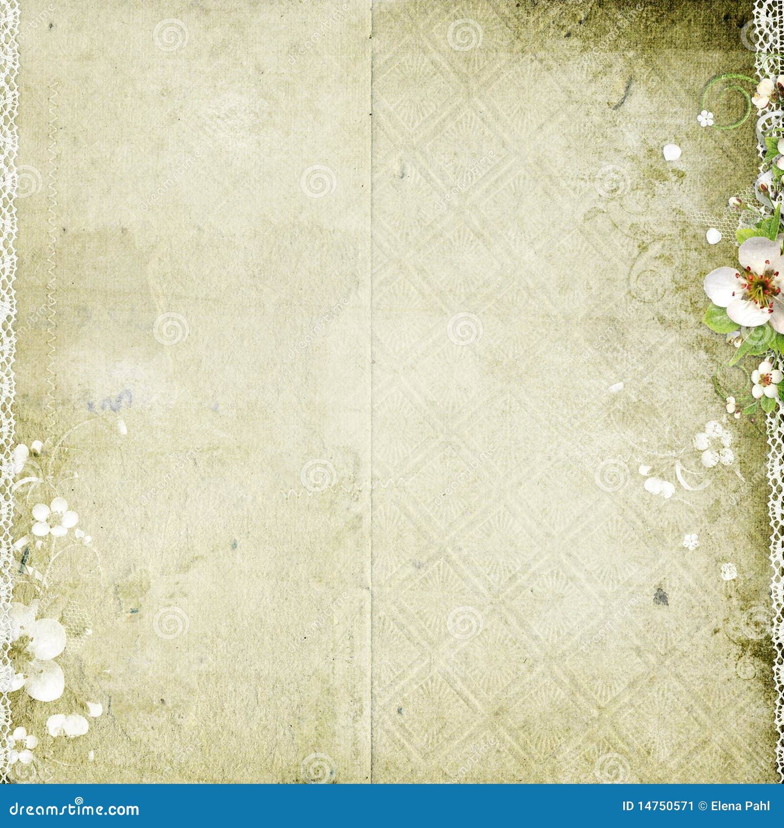 Old Paper Background with Apple Tree Flowers Stock Illustration ...