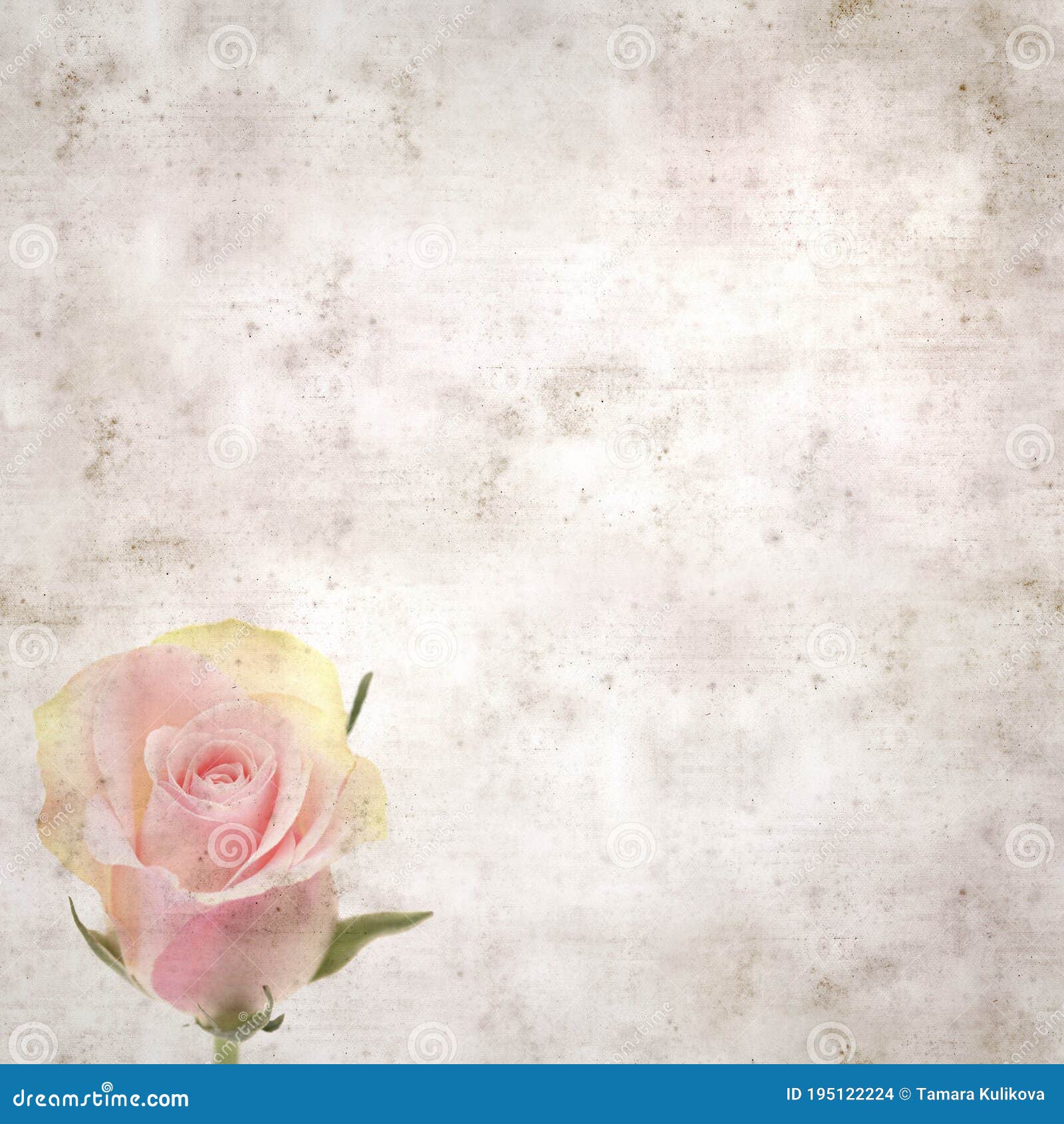 Old Paper Background with Rose Stock Photo - Image of flowering, aged ...