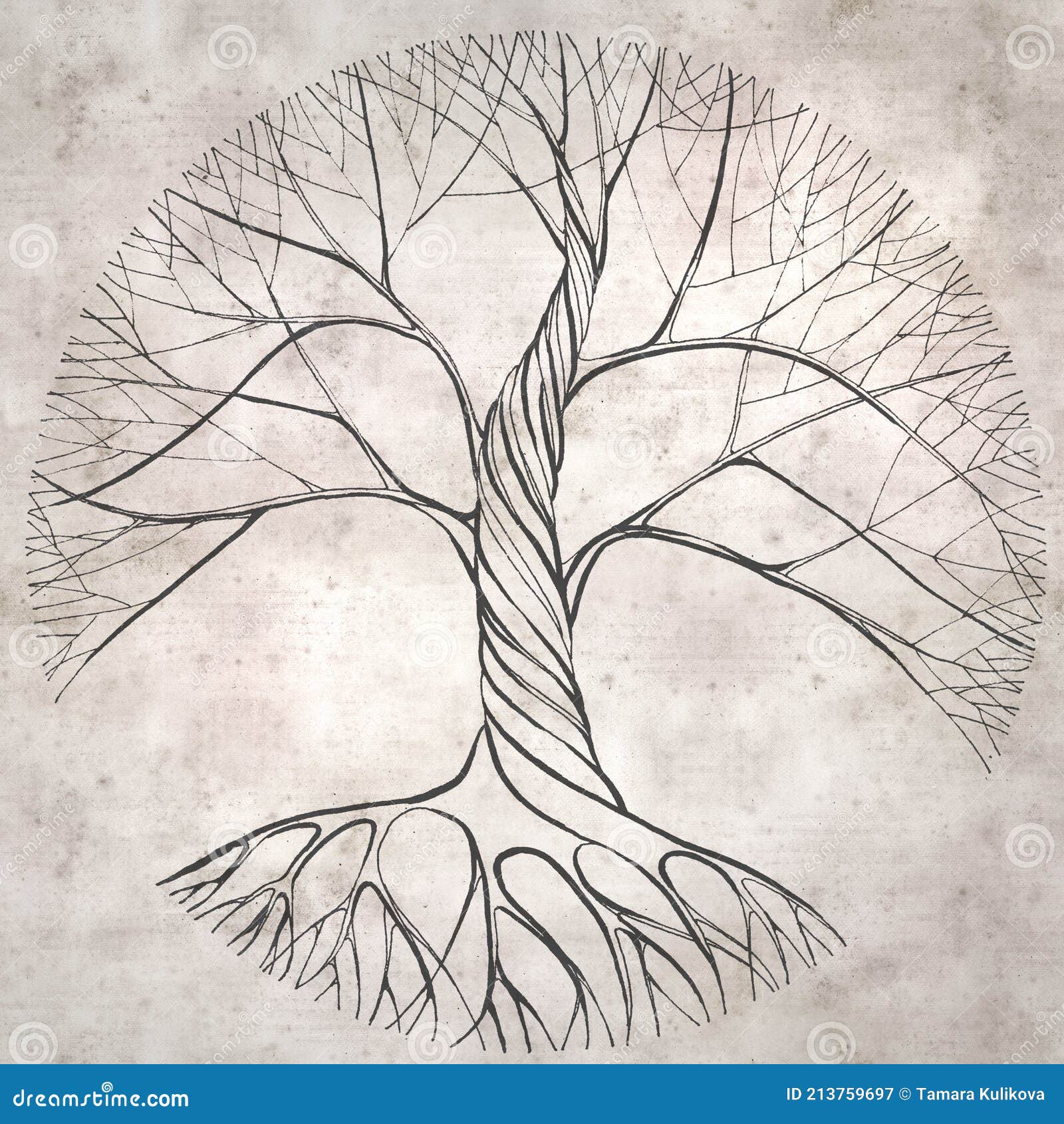 Twisted Old Tree Drawing