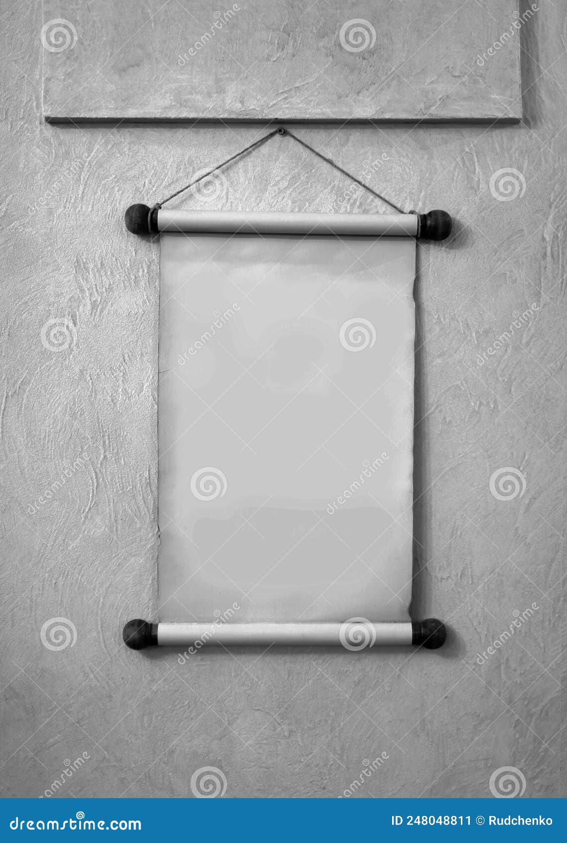 White Scroll Algae Padina Jamaicensis Stock Image | CartoonDealer.com ...