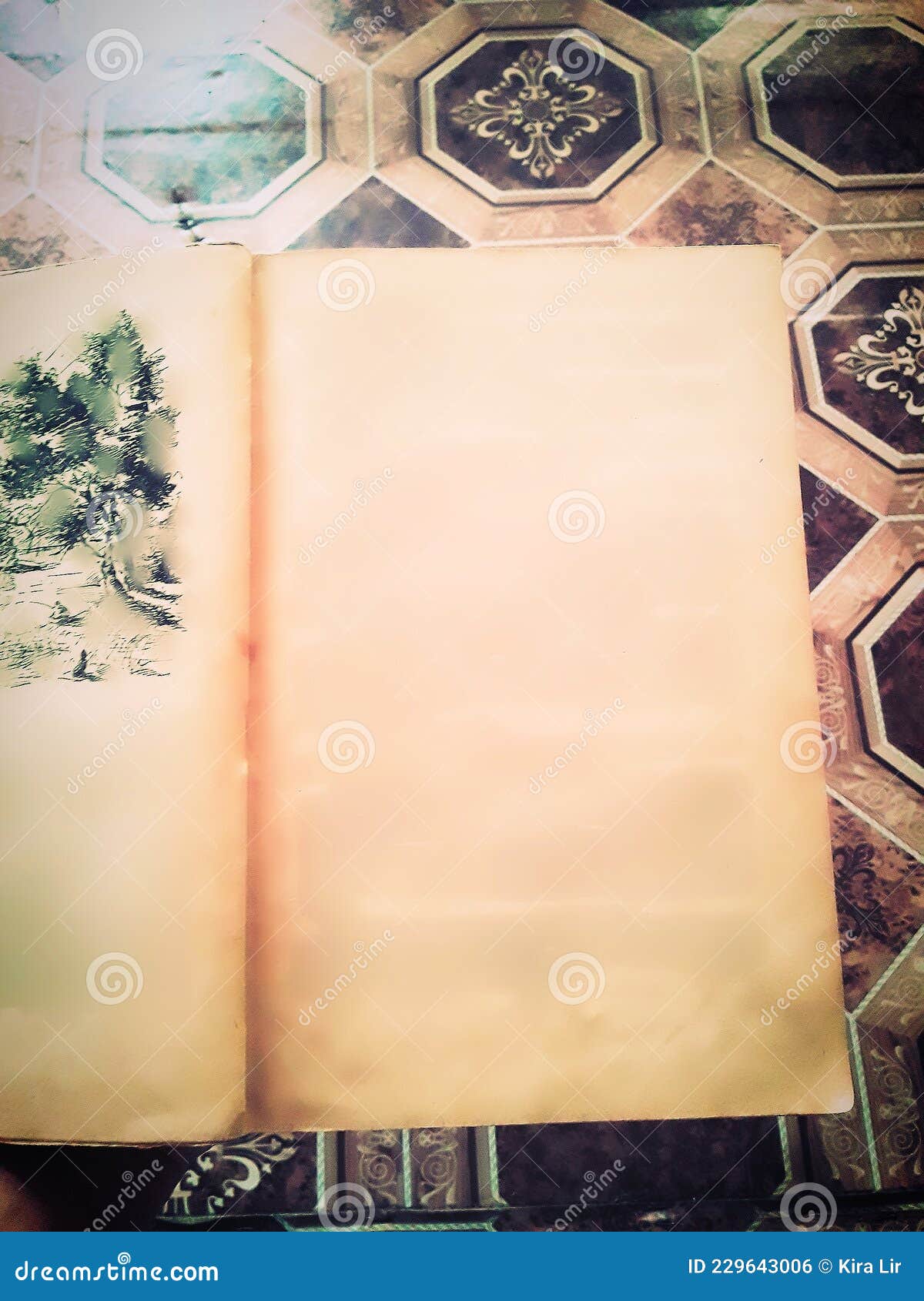 Old paper in the book stock photo. Image of floor, yellow - 229643006