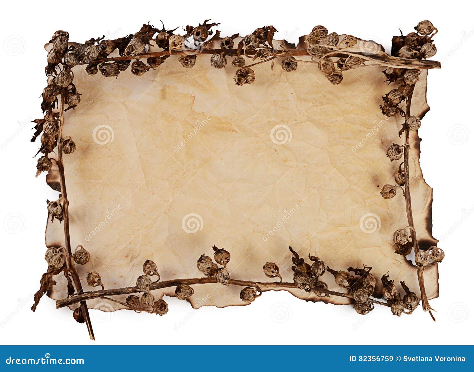 Old Paper with the Burned Edges Stock Image - Image of grungy, damaged ...