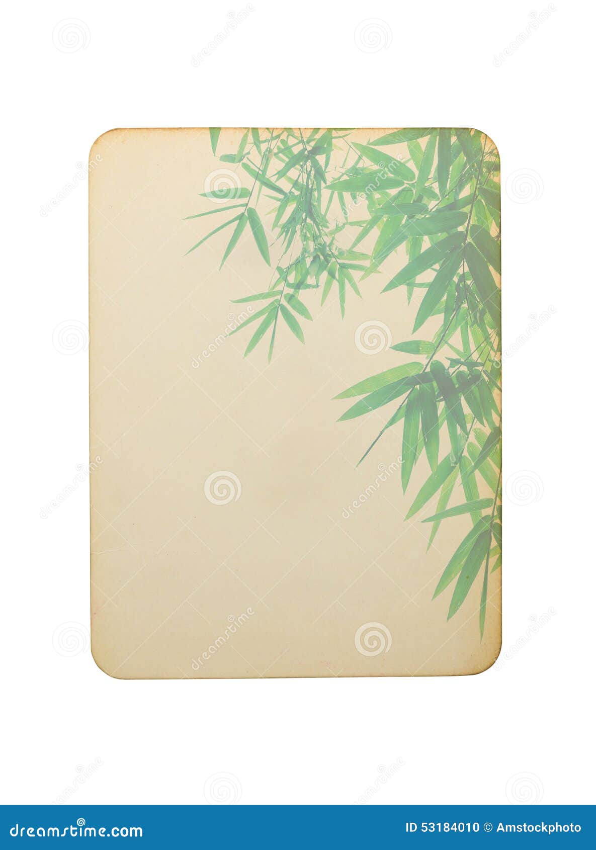Old Paper Card With Bamboo Leaves Isolated On White Background Stock ...