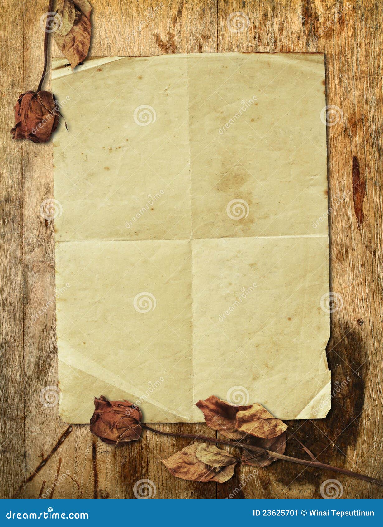 Old paper with dried rose stock image. Image of grunge - 23625701