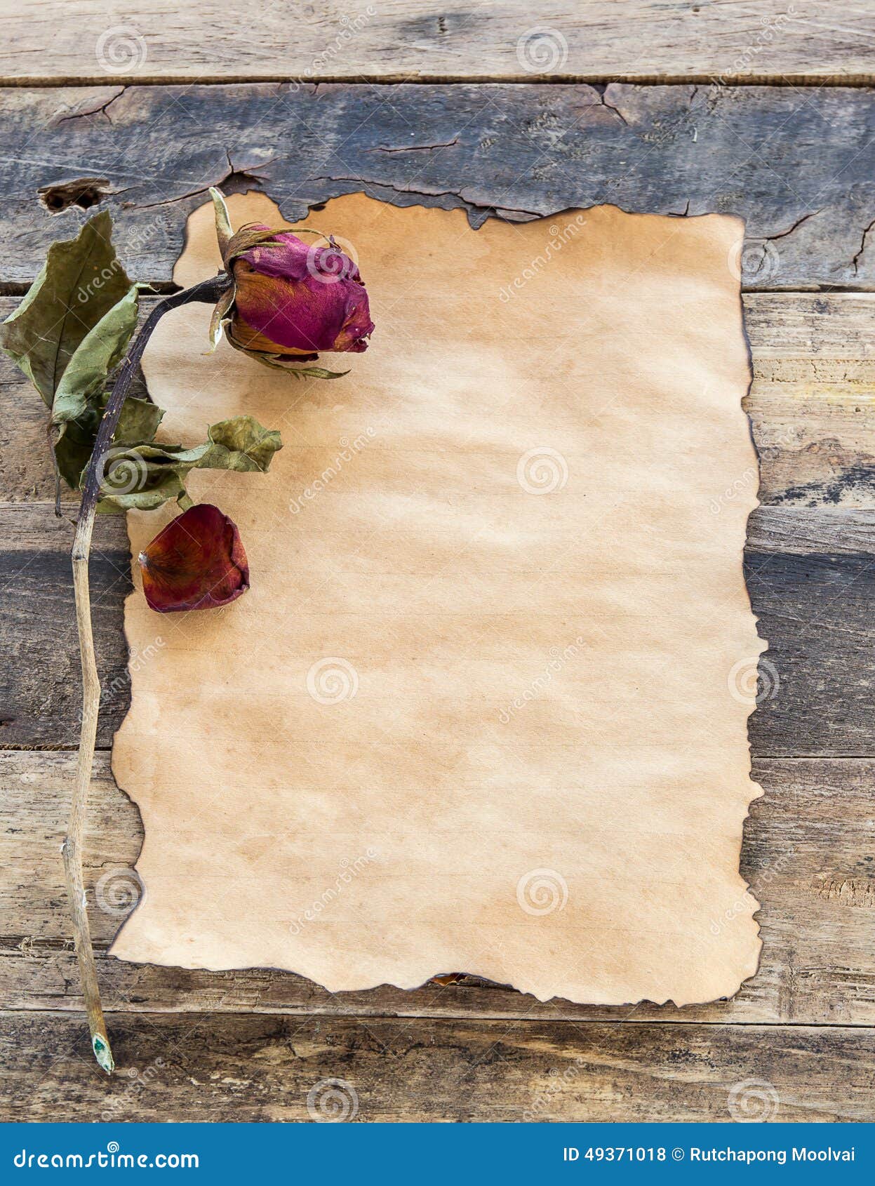 Old Paper with Dried Rose on Wooden Stock Photo - Image of design ...