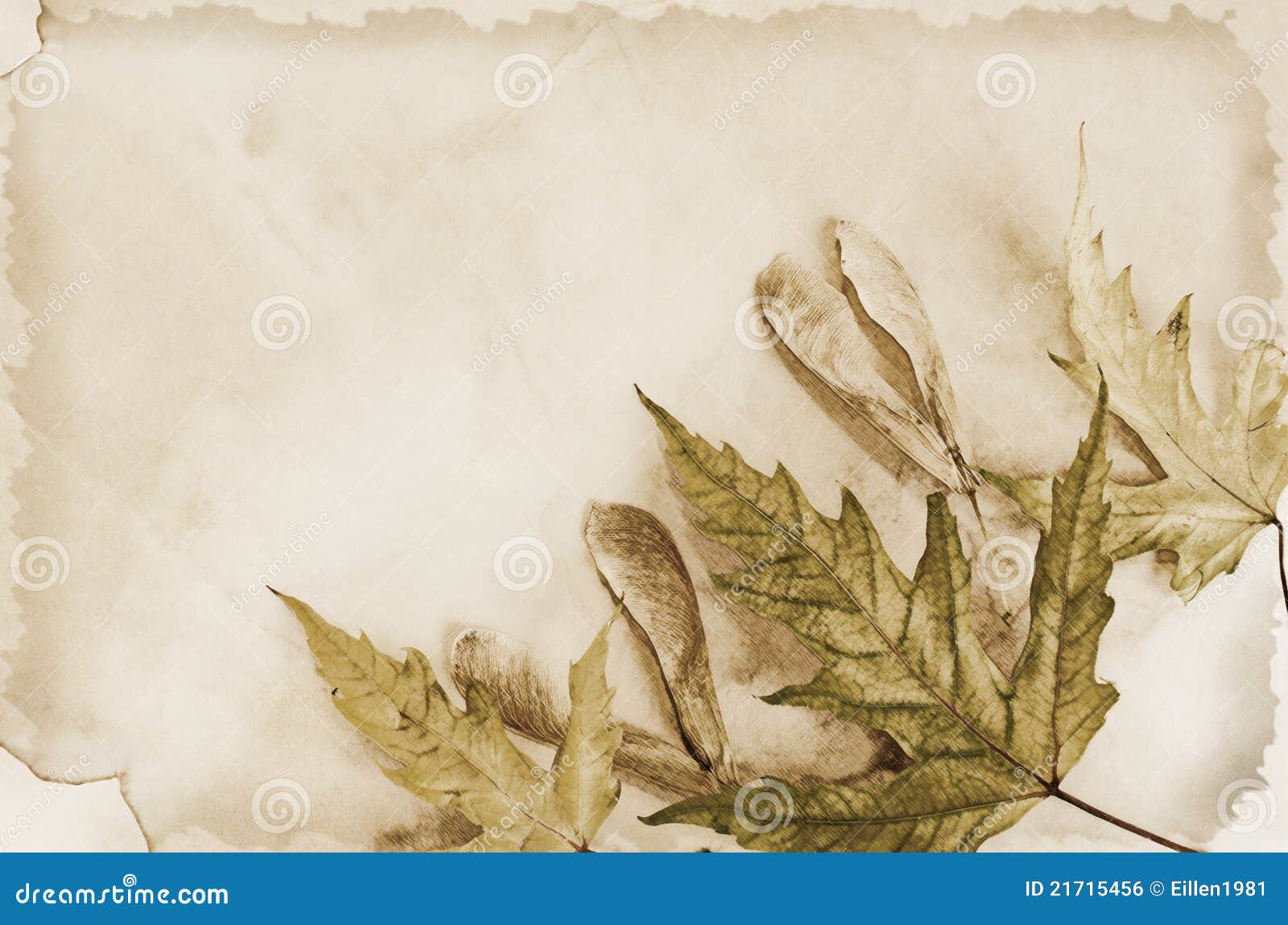 Old Paper with Dry Autumn Leave Stock Photo - Image of grunge, leaf ...