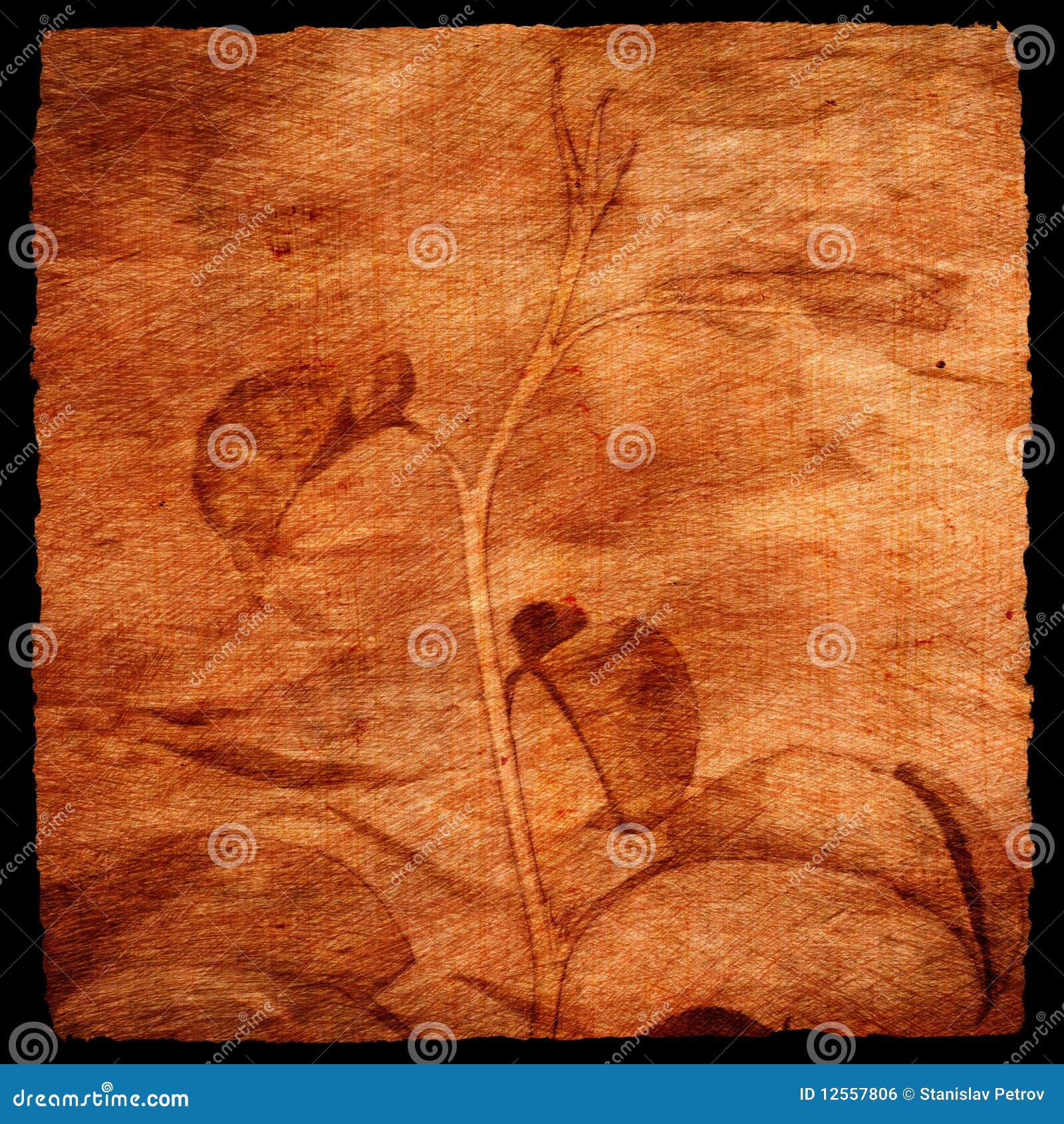 Old Paper with Floral Element Stock Illustration - Illustration of ...