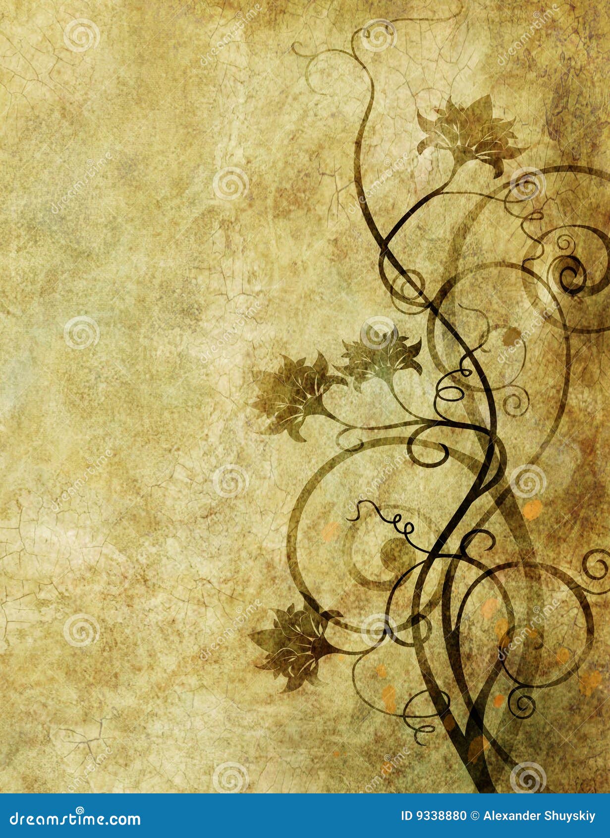 Old Paper With Floral Pattern Stock Illustration Illustration Of