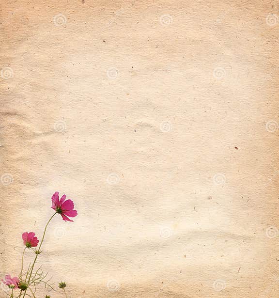 Old Paper Flower Background Frame Stock Illustration - Illustration of ...