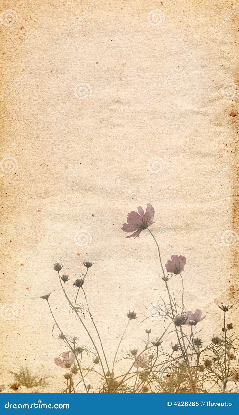 Old Paper Flower Background