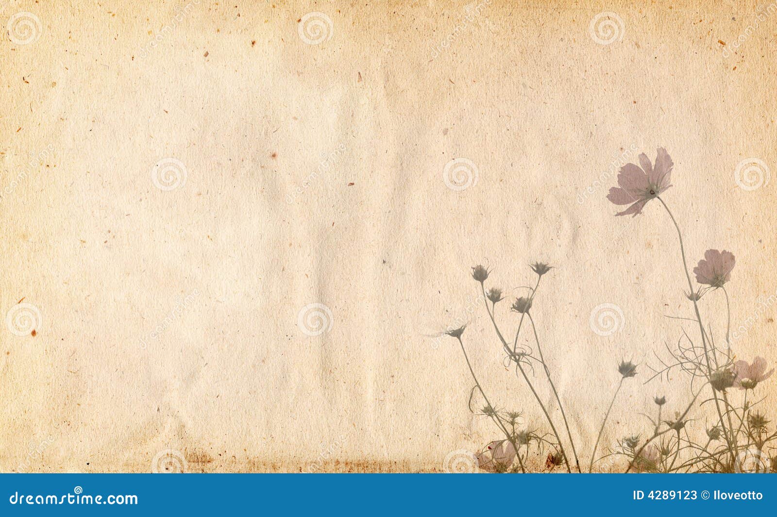Old Paper Flower Background Frame Stock Illustration - Illustration of ...