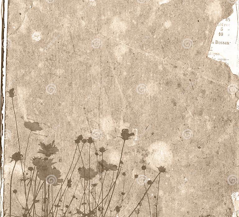 Old Paper Flower Background Frame Stock Illustration - Illustration of ...