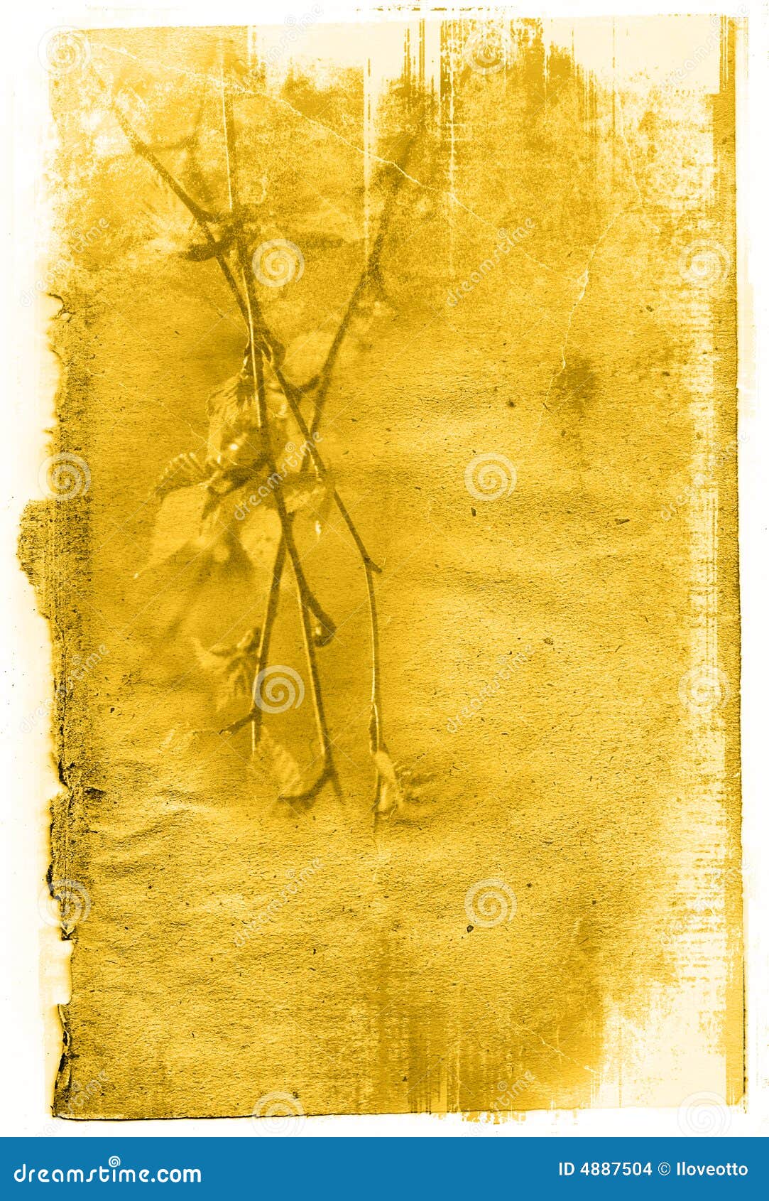 Old paper flower textures stock photo. Image of flower - 4887504