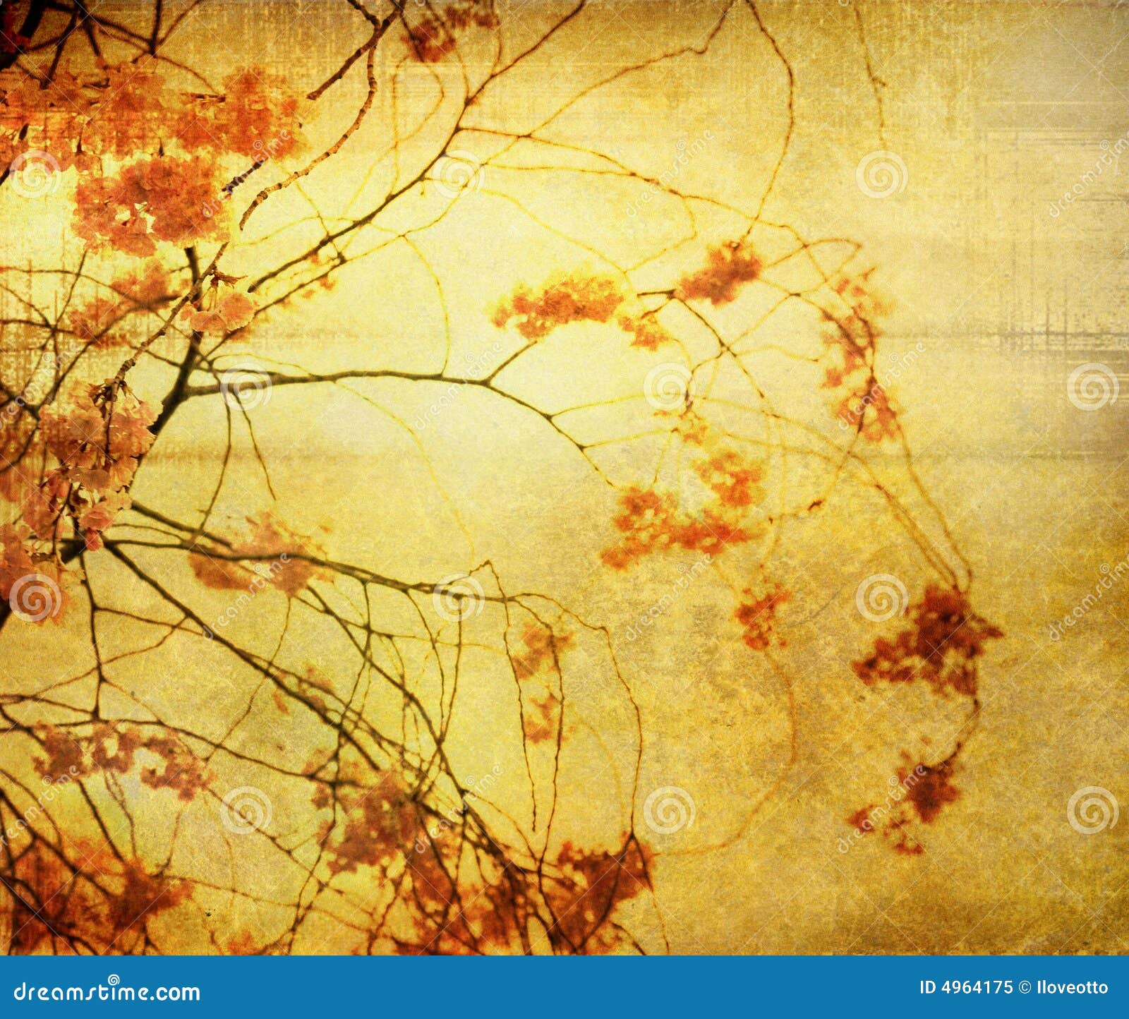 Old paper flower textures stock image. Image of artistic - 4964175