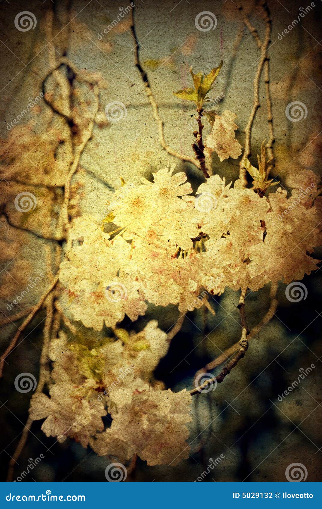 Old paper flower textures stock photo. Image of decorative - 5029132