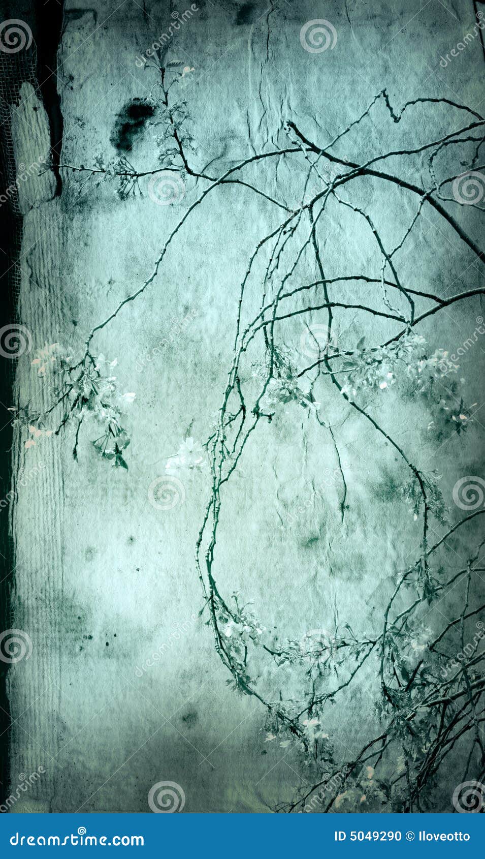 647 Old Paper Flower Textures Stock Photos - Free & Royalty-Free Stock ...