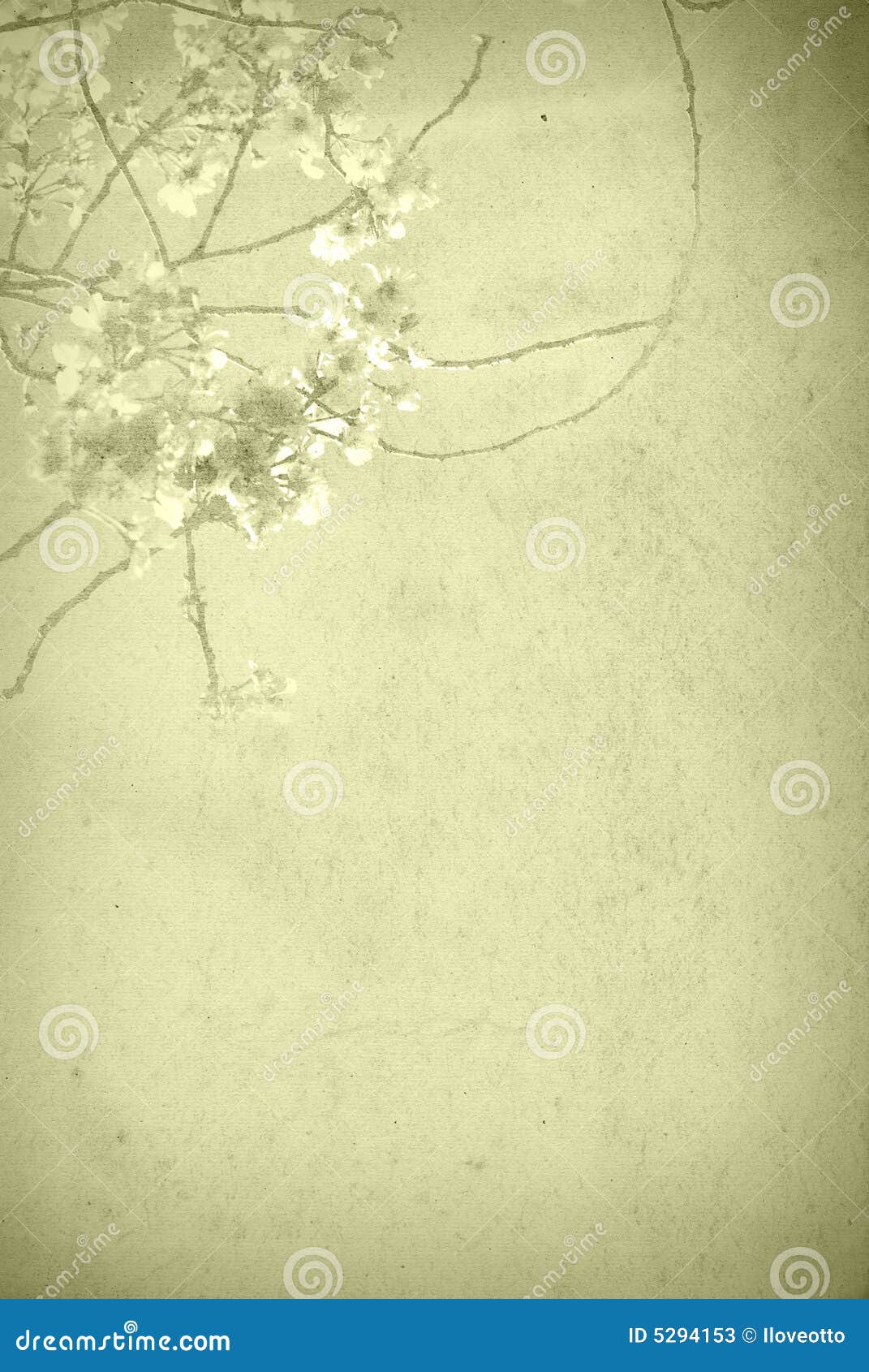 Old Paper Flower Textures Stock Photo | CartoonDealer.com #4890492