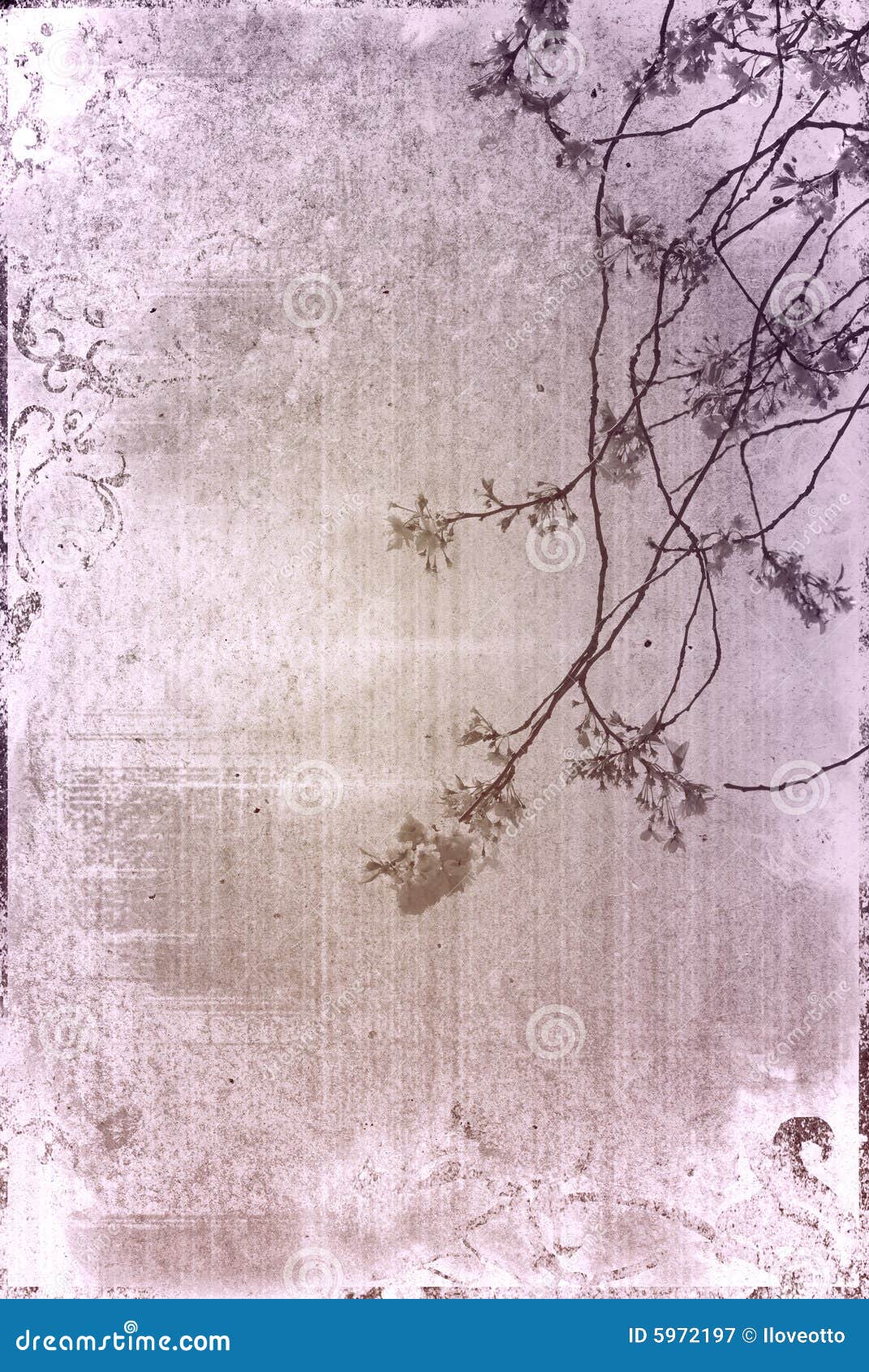 Old Paper Flower Textures Stock Photo | CartoonDealer.com #4890492