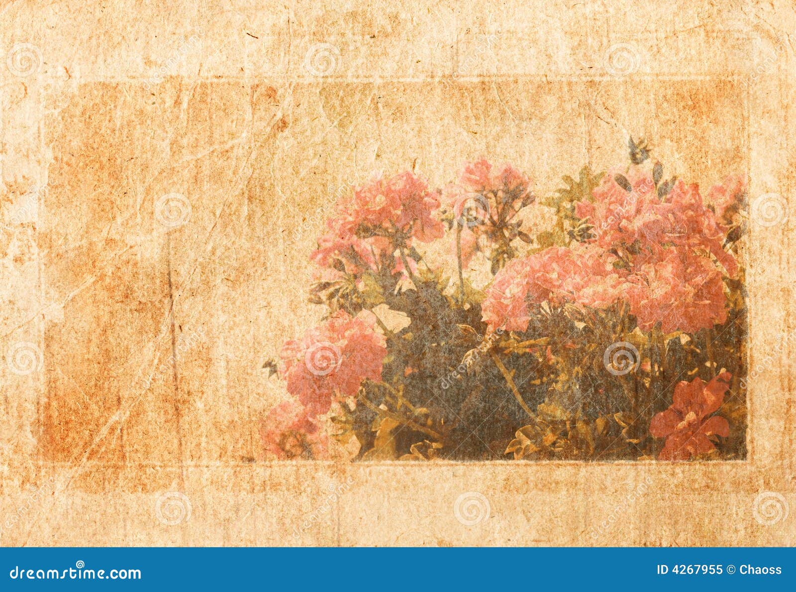 Old Paper with Frame and Shabby Flower Pattern Stock Image - Image of ...