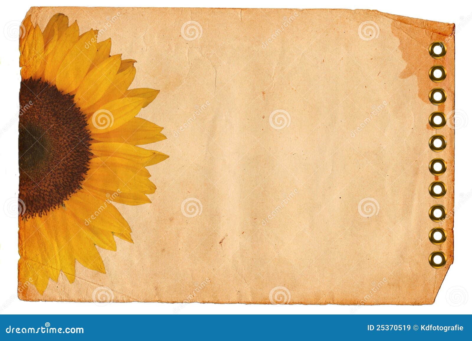 Old paper label stock image. Image of blank, textured - 25370519