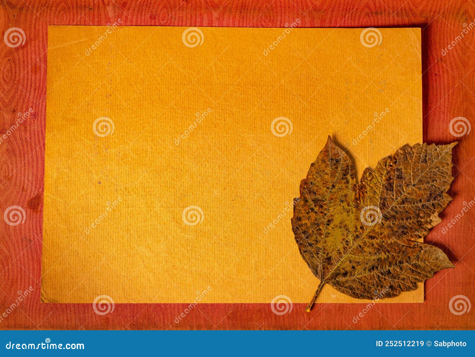 Old Paper with a Leaf stock image. Image of board, bulletin - 252512219