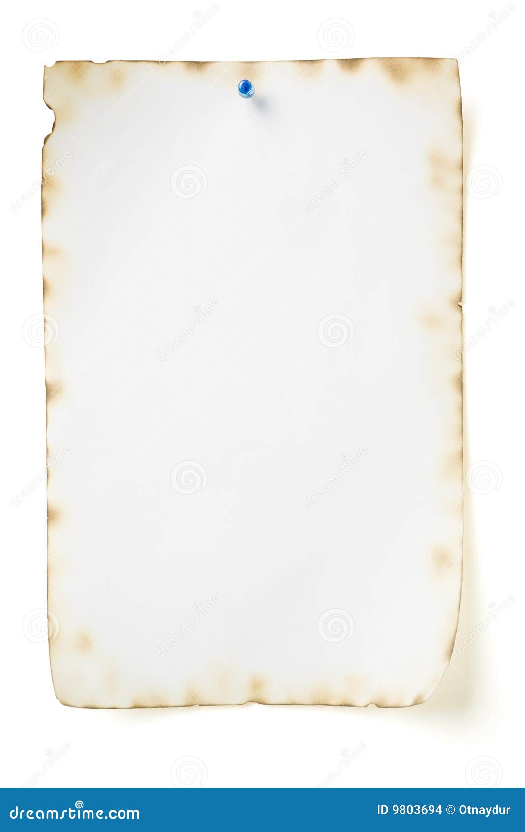 Old paper nailed stock photo. Image of blank, vintage - 9803694