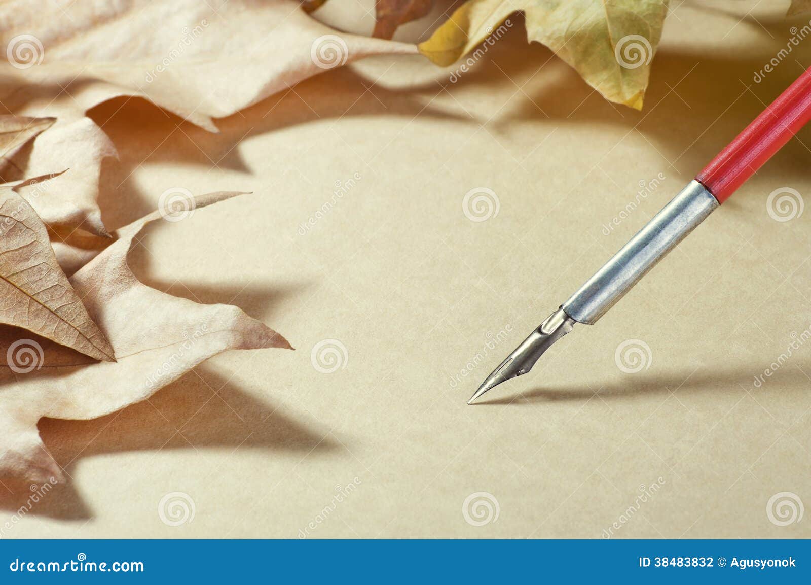Old Paper Pen Fountain and Foliage Stock Photo - Image of canvas ...