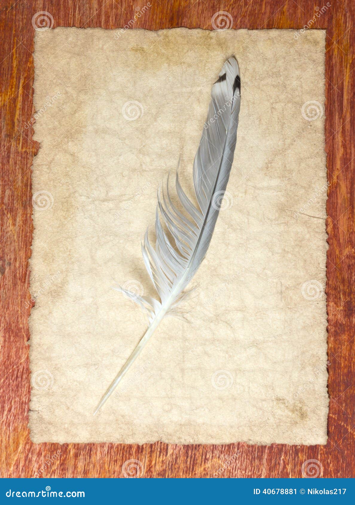 Old Paper And Quill Royalty-Free Stock Photo | CartoonDealer.com #40678881