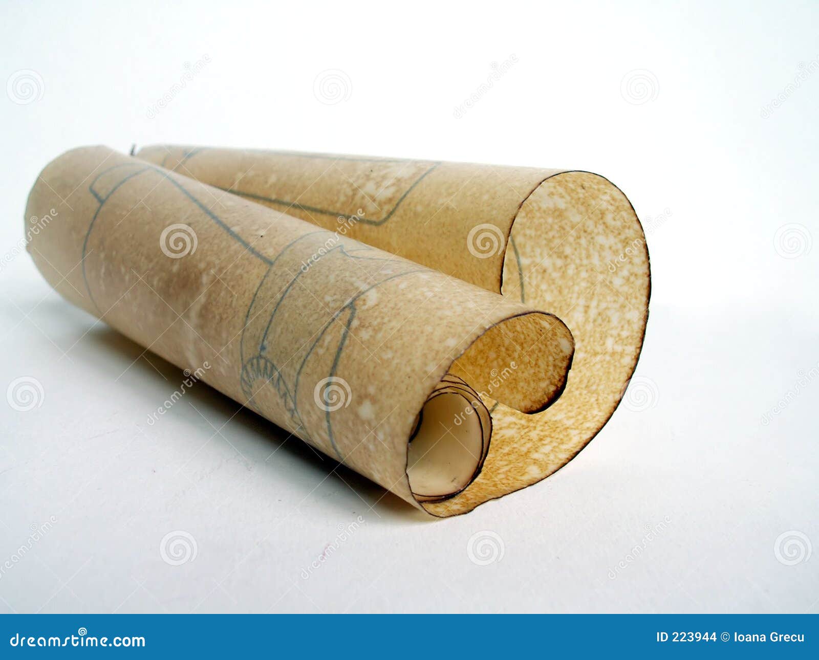 Paper Scroll Isolated On White With Bow. Certificate Diploma Or Award ...