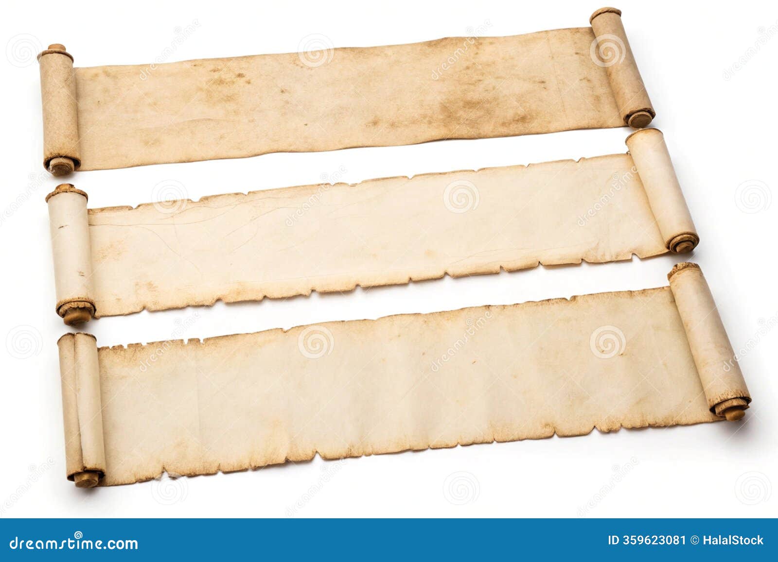 Old Paper Scrolls Banner Cartoon Vector | CartoonDealer.com #195400747