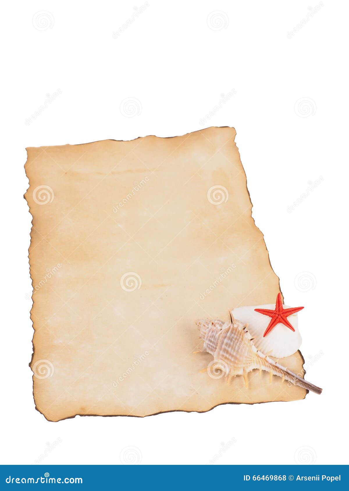 Old Paper and Seashells Isolated on a White Background Stock Photo ...