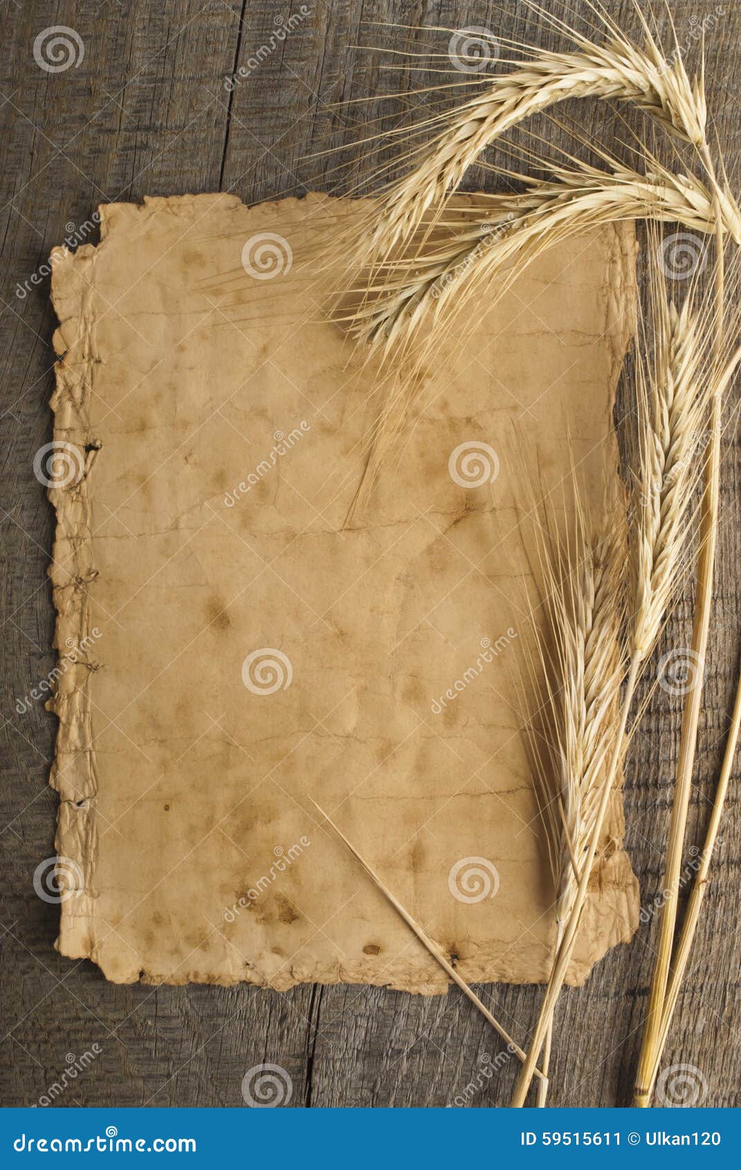 Old Paper on Wood Background with Wheat and Rye Ears Stock Image ...