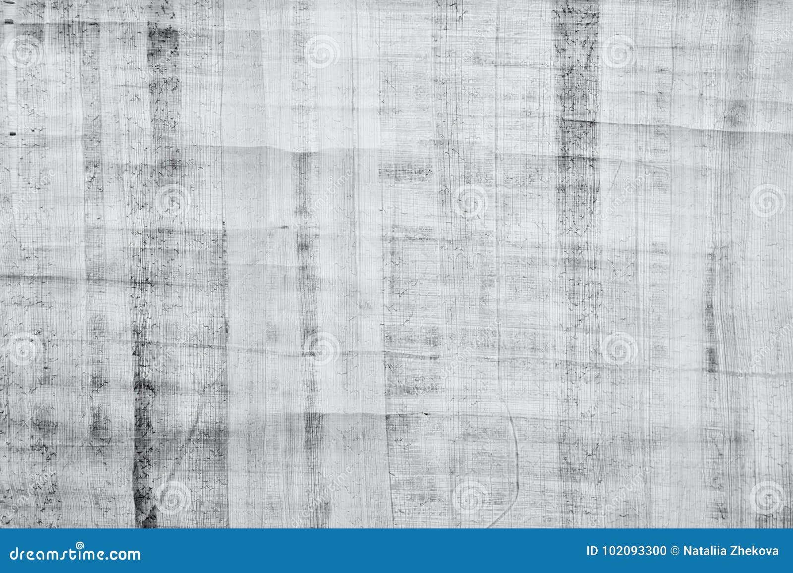 Black and white papyrus texture - mapery