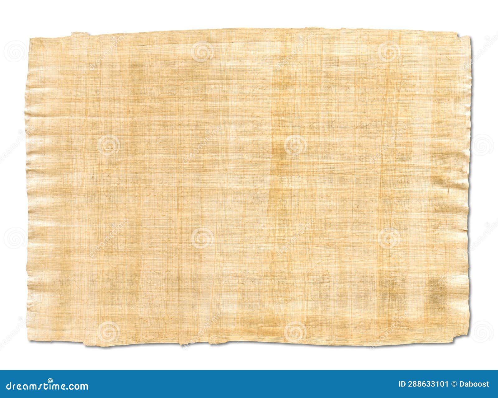 Old Papyrus Texture Isolated on White Background Stock Illustration ...