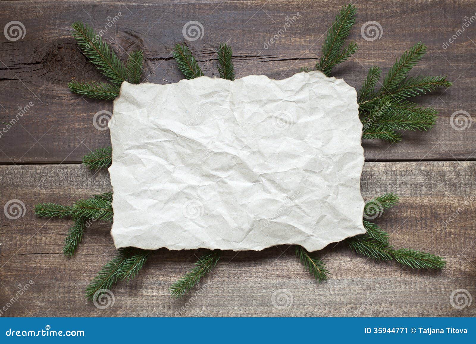 Old Parchment Paper with Copy Space on Branch Stock Image - Image of ...